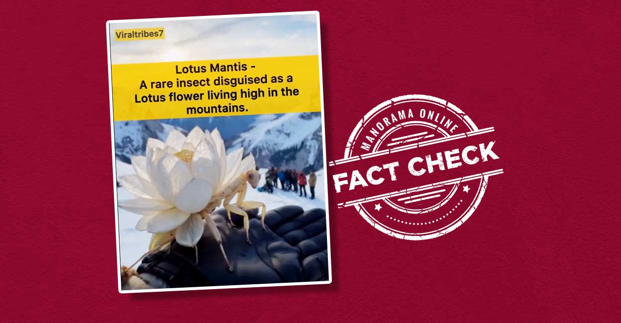 മുതുകിൽ താമരയുമായി പറക്കുന്ന ഹിമാലയത്തിലെ വിചിത്ര ജീവി! | A recent social media video claiming ...